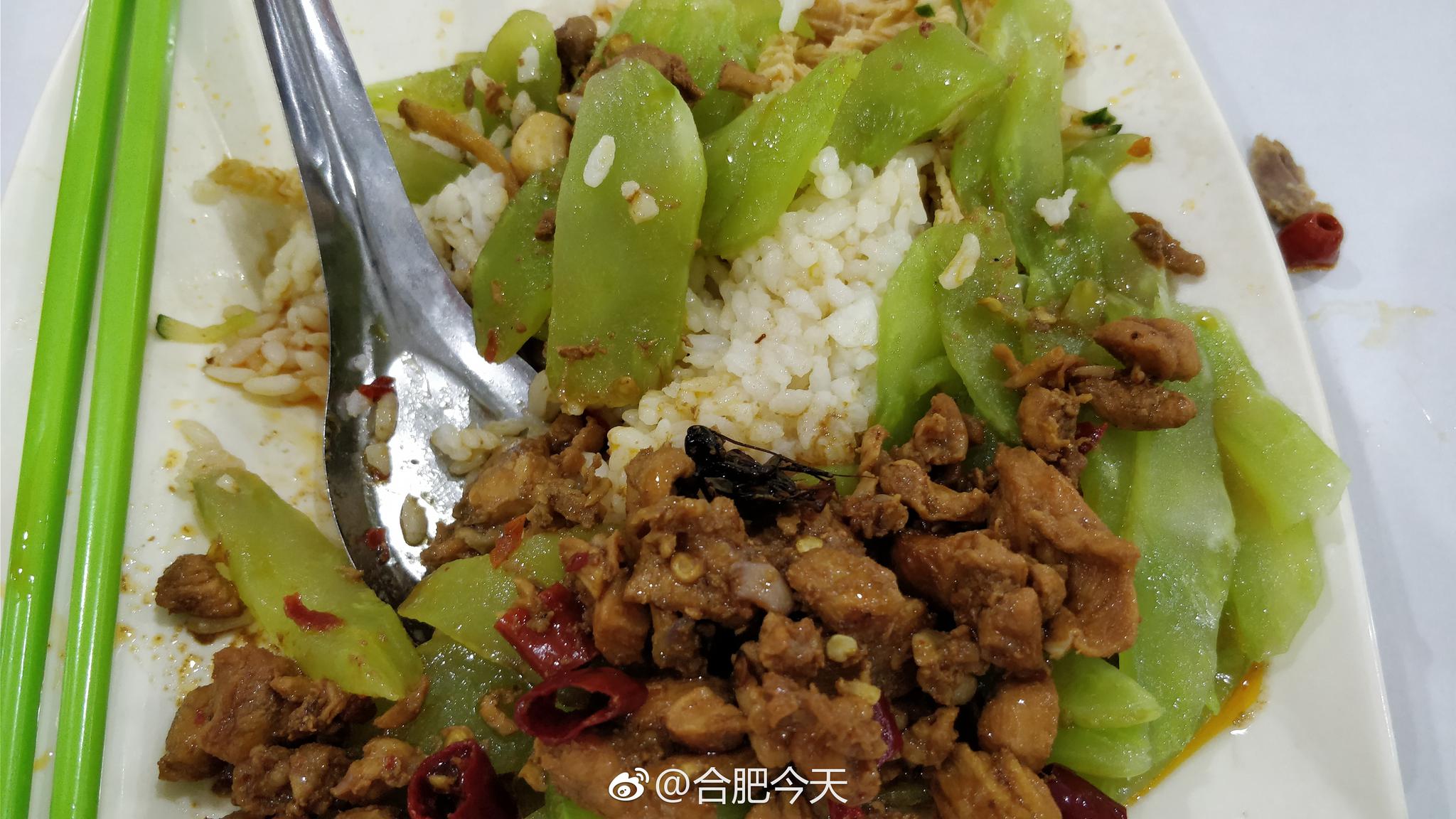 合肥一专科院校食堂菜里吃出蟑螂[跪了]|蟑螂|合肥|学生_新浪新闻