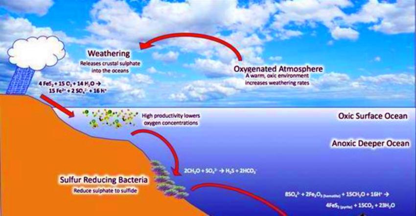 海洋生物大灭绝危机可能随时爆发?科学家：海洋缺氧或正在加剧|海洋|缺氧|海洋生物_新浪新闻