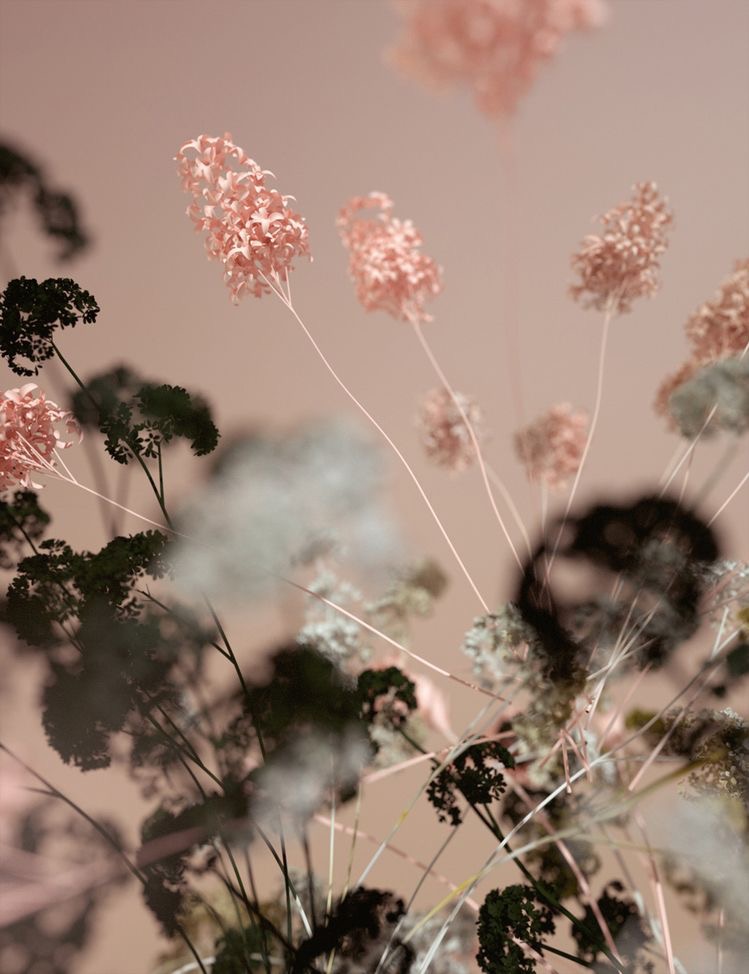 Studio Brasch's Artworks|Studio_新浪新闻