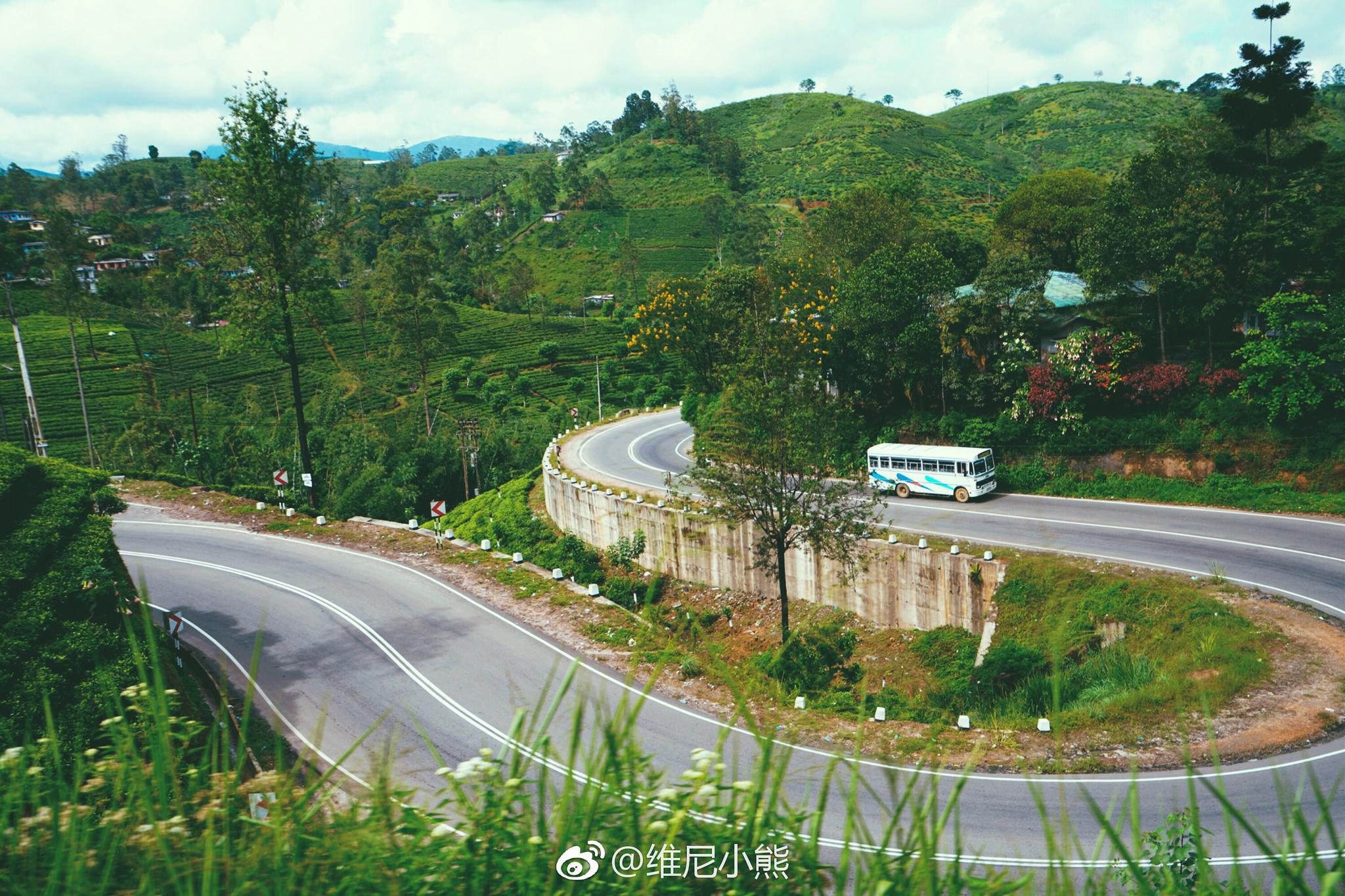 没来斯里兰卡之前，大概听闻过锡兰红茶Ceylon black tea是当地特产|斯里兰卡|红茶|锡兰|特产|冰红茶_新浪新闻