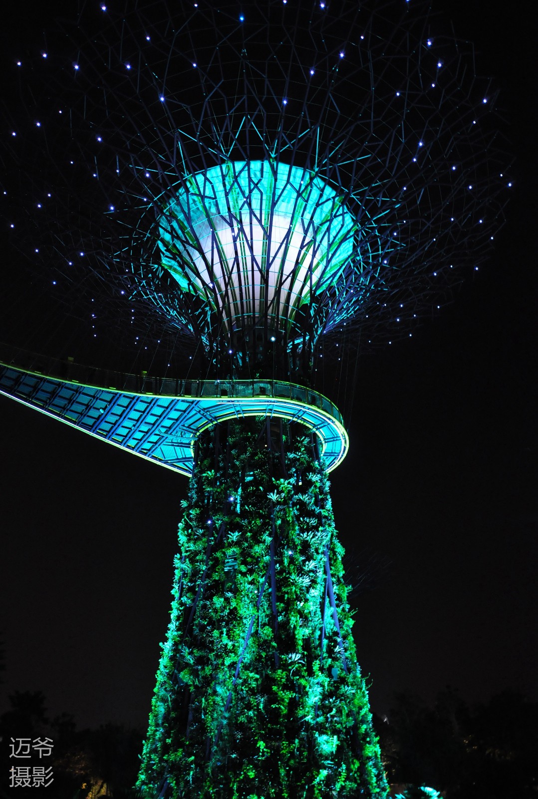 新加坡滨海湾花园超级树灯光秀【原创摄影】