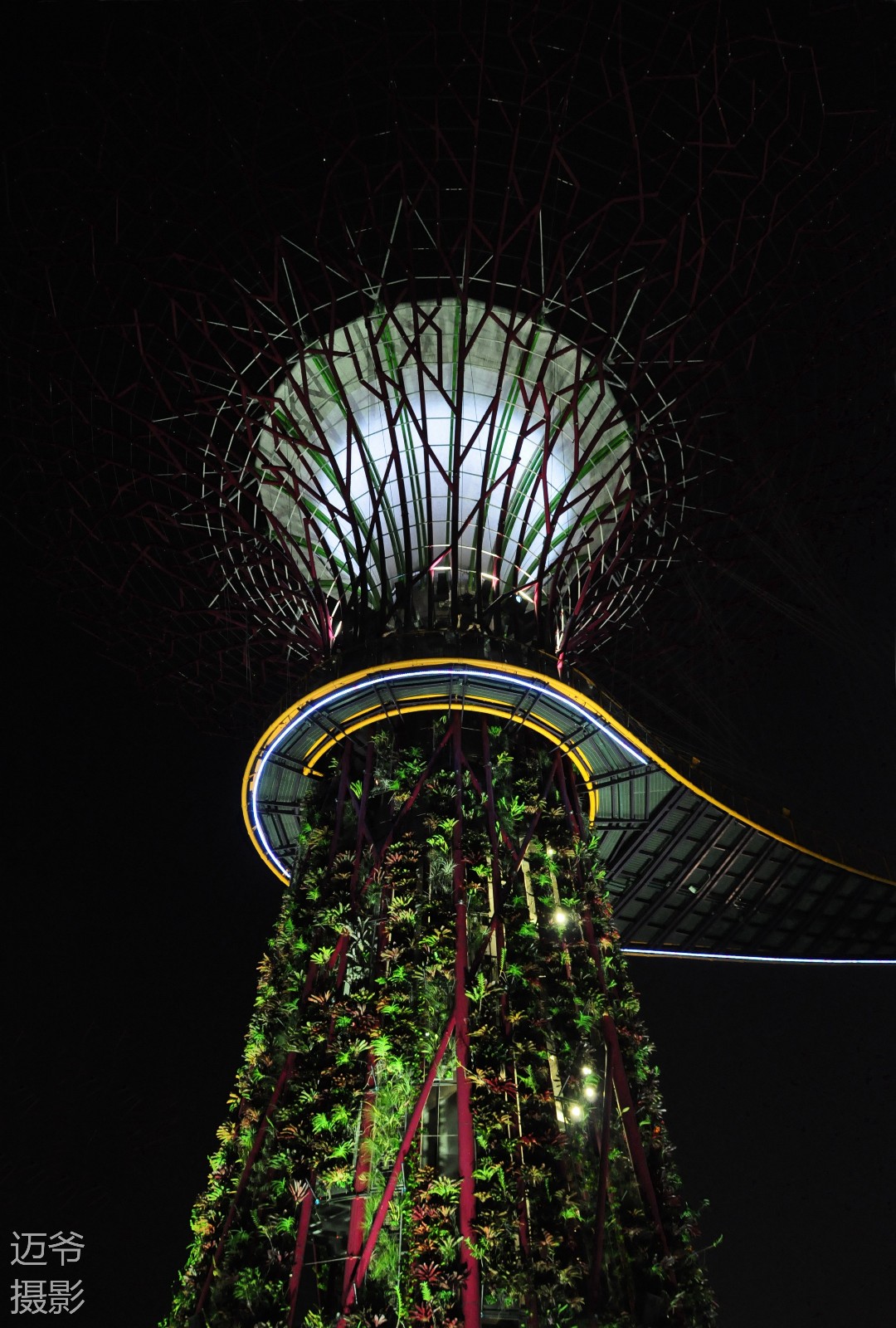 新加坡滨海湾花园超级树灯光秀【原创摄影】