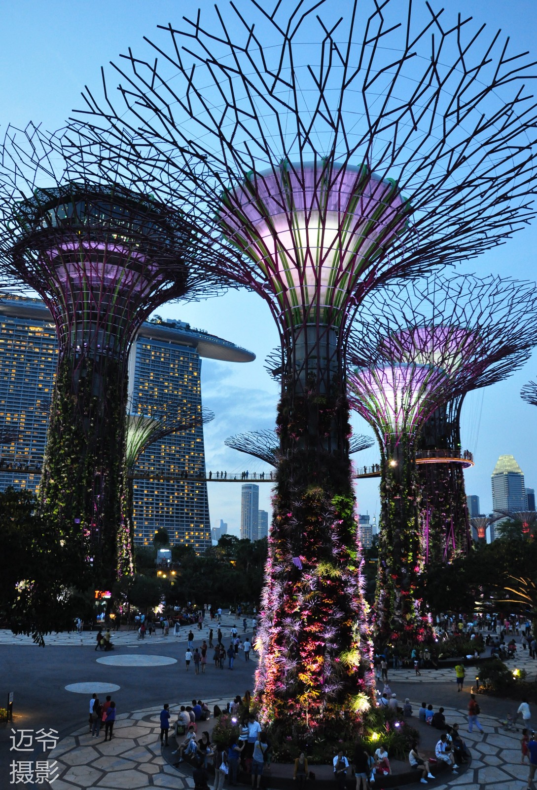 新加坡滨海湾花园超级树灯光秀【原创摄影】