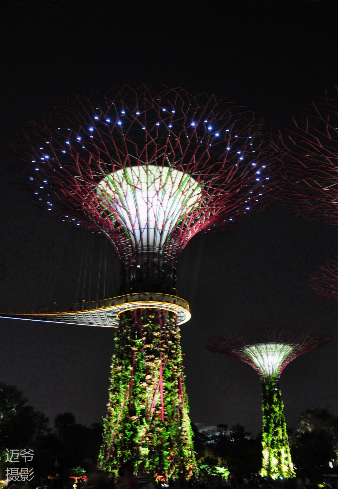 新加坡滨海湾花园超级树灯光秀【原创摄影】