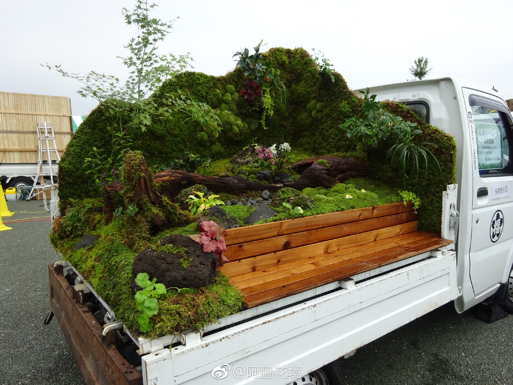 Kei Truck，简称kei-tora，是一款起源于日本的微小但实用的汽车|花园|园艺师|大赛_新浪新闻