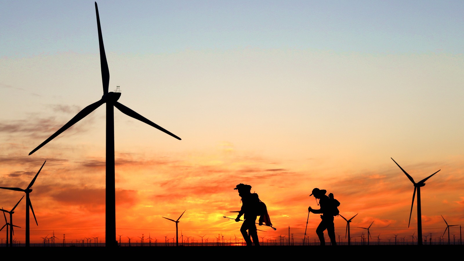 戈壁滩上的征程|戈壁滩|征程_新浪新闻