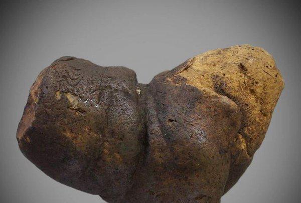 世界上保存最久的屎, 来自12000年前的粪化石