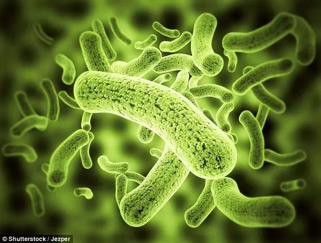 科学家研发世界首款非浸润式医用手套，手套自己就能消毒__财经头条