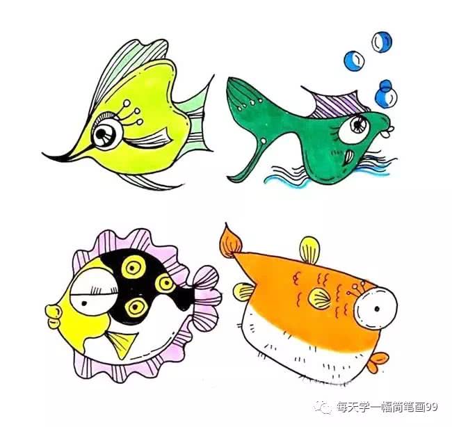 每天学一幅简笔画-12种海洋鱼类简笔画画法