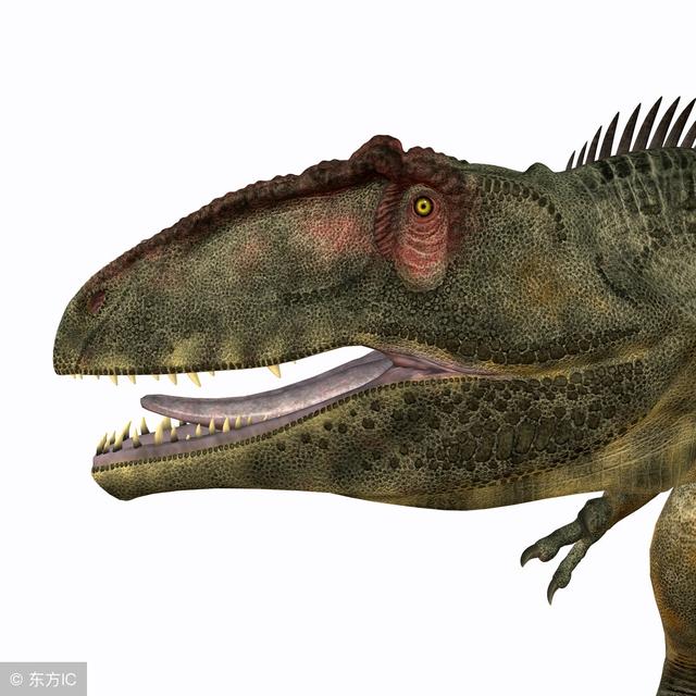 狭路相逢，南方巨兽龙VS霸王龙谁才是最恐怖的猛兽？！|南方|霸王龙|龙_新浪新闻