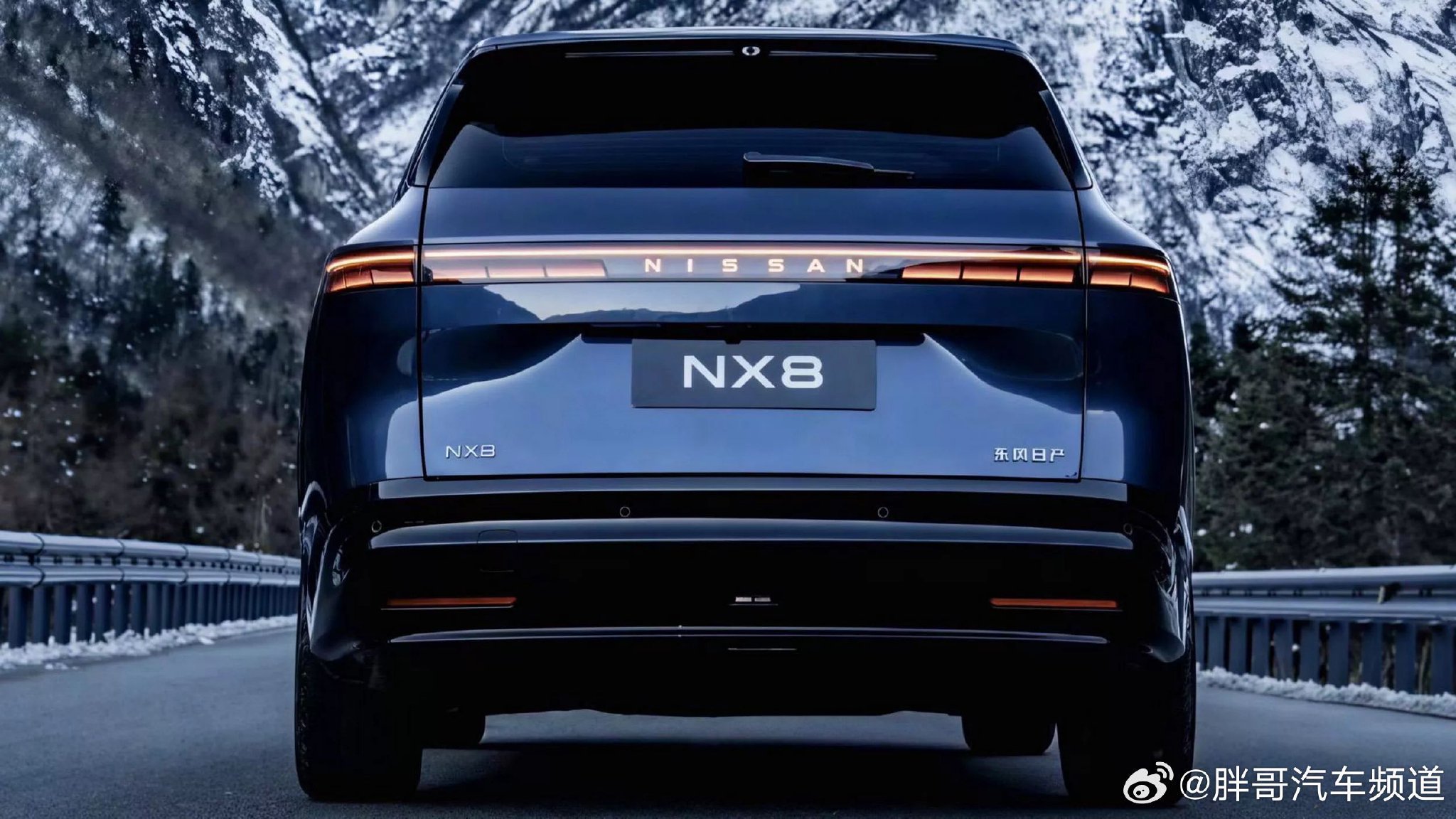 东风日产NX8官图发布，搭载800V高压平台与5C超充技术-新浪汽车