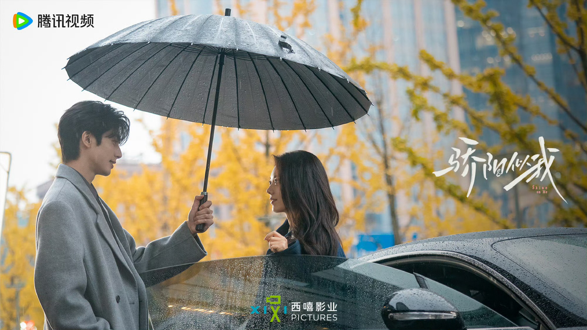 宋威龙赵今麦新剧《骄阳似我》12月开播|聂曦光|林屿森|剧照|审美|权威_新浪新闻