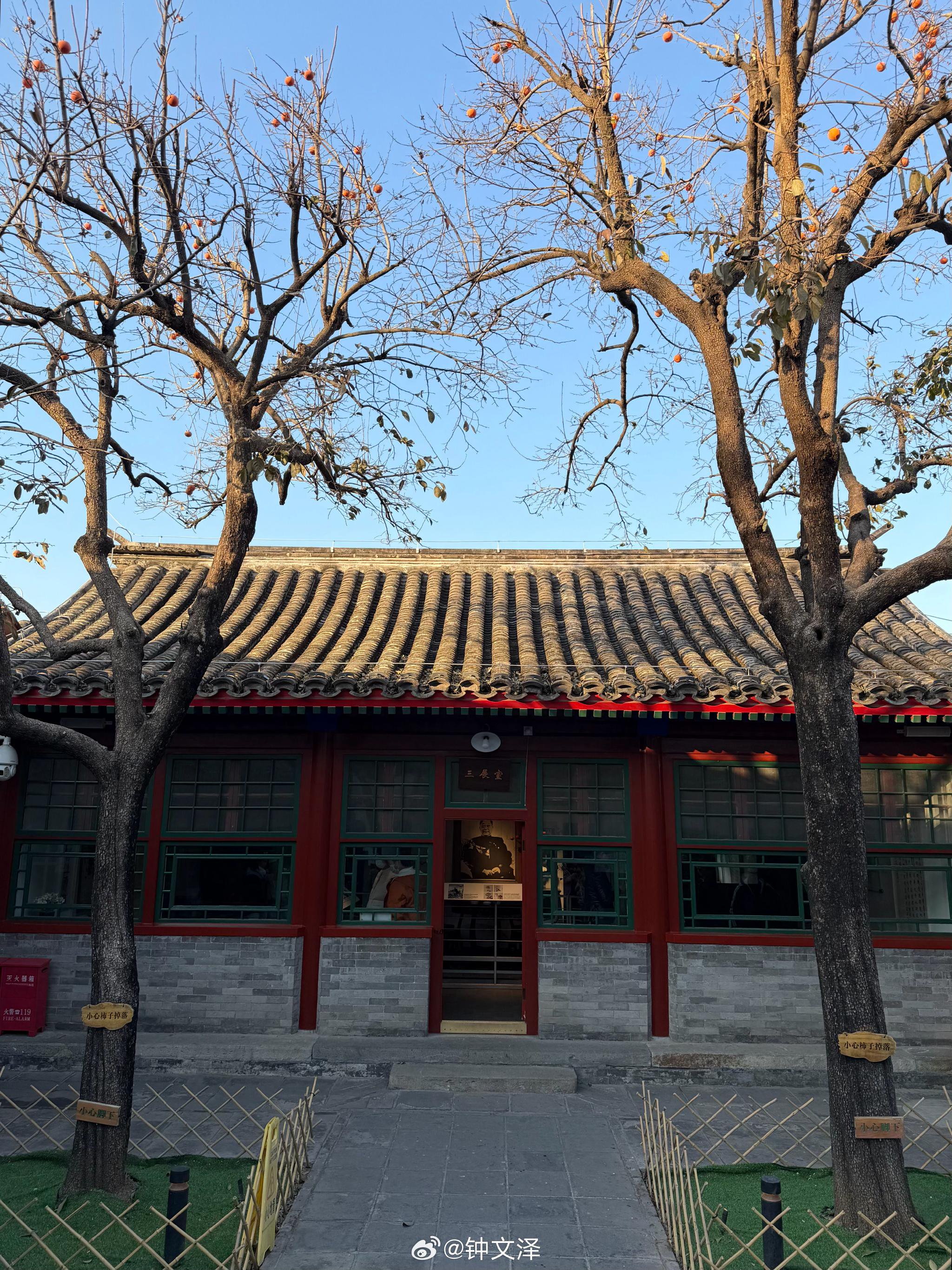 老舍丹柿小院故居今貌，两株柿树重现当年景致|老舍|柿子_新浪新闻