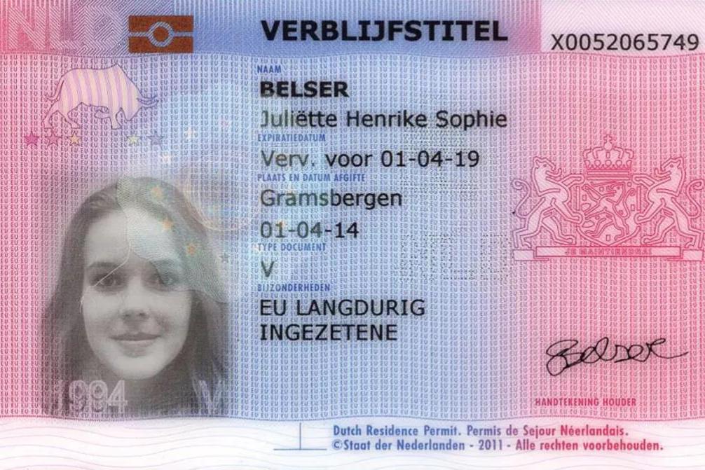 奥地利配额移民良心实例，DIY是真的很难吗？办理详解|奥地利|申请人|申请者|成功率|配额_新浪新闻