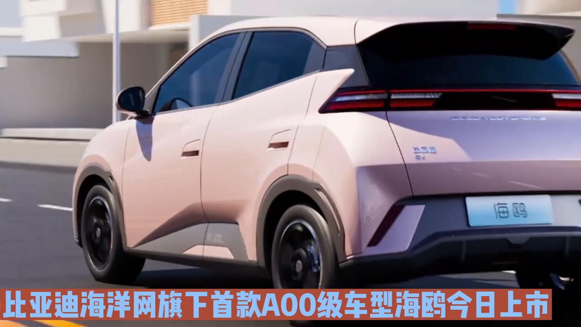比亚迪海洋网旗下首款A00级车型海鸥今日上市|新车上市|新能源新车|新能源_新浪新闻