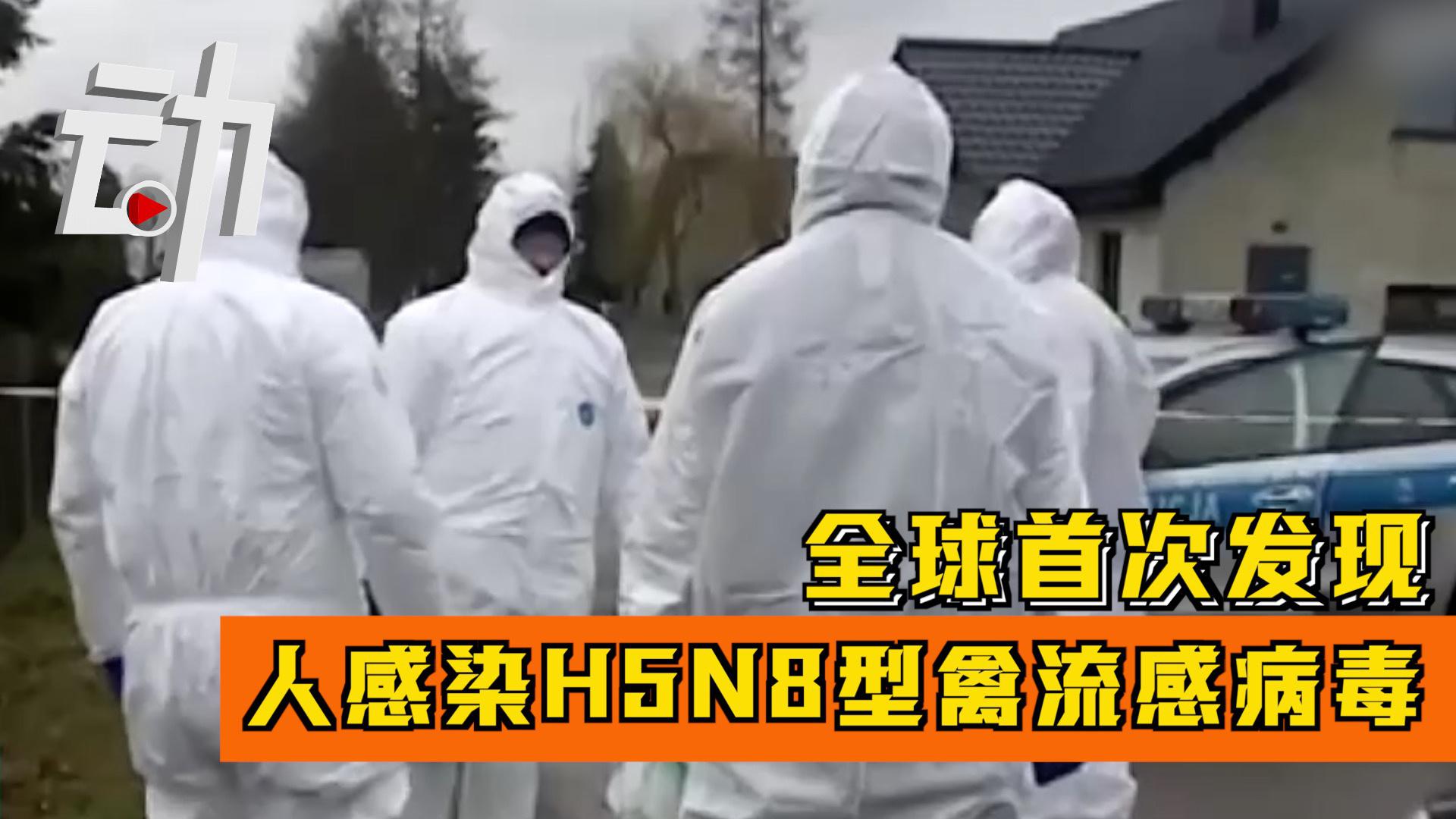 全球首次发现人感染H5N8型禽流感病毒 动画科普该如何预防？|全球首次发现|H5N8|禽流感病毒_新浪新闻