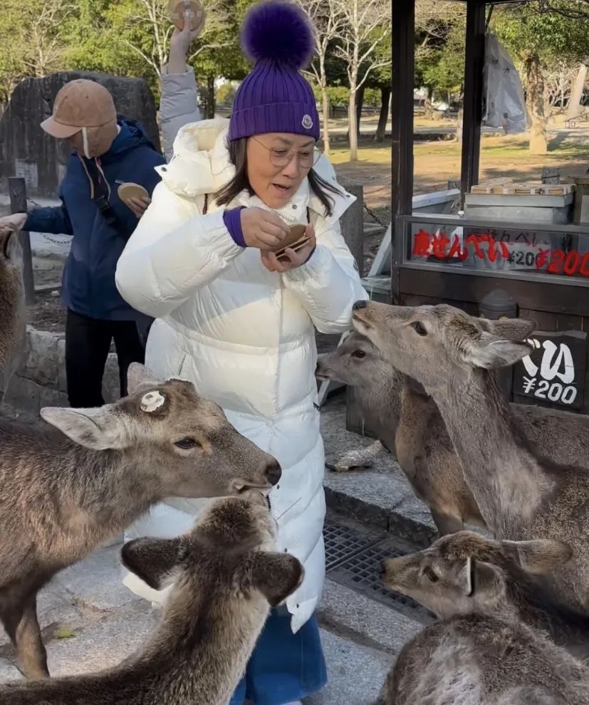吓餐死！76岁TVB资深花旦突遭鹿群围攻，价值2万羽绒服被咬坏|阿姐|鹿群|英哥_新浪新闻