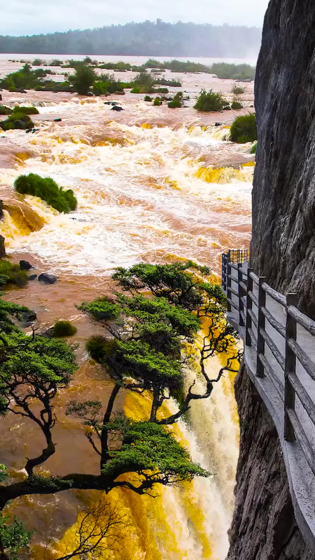 《ahisa-桜廻廊》这首歌最近爆红网络太醉人了，希望你能喜欢_新浪新闻