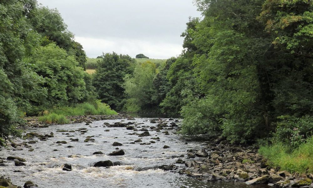 世界上最短的河流