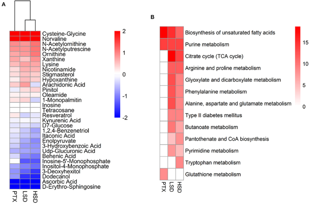 运用GC-MS代谢组学探索神秘果提取物的抗血管生成和抗癌活性