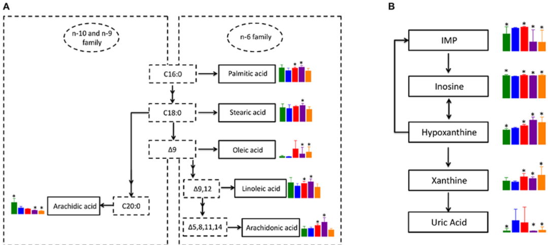 运用GC-MS代谢组学探索神秘果提取物的抗血管生成和抗癌活性__财经头条