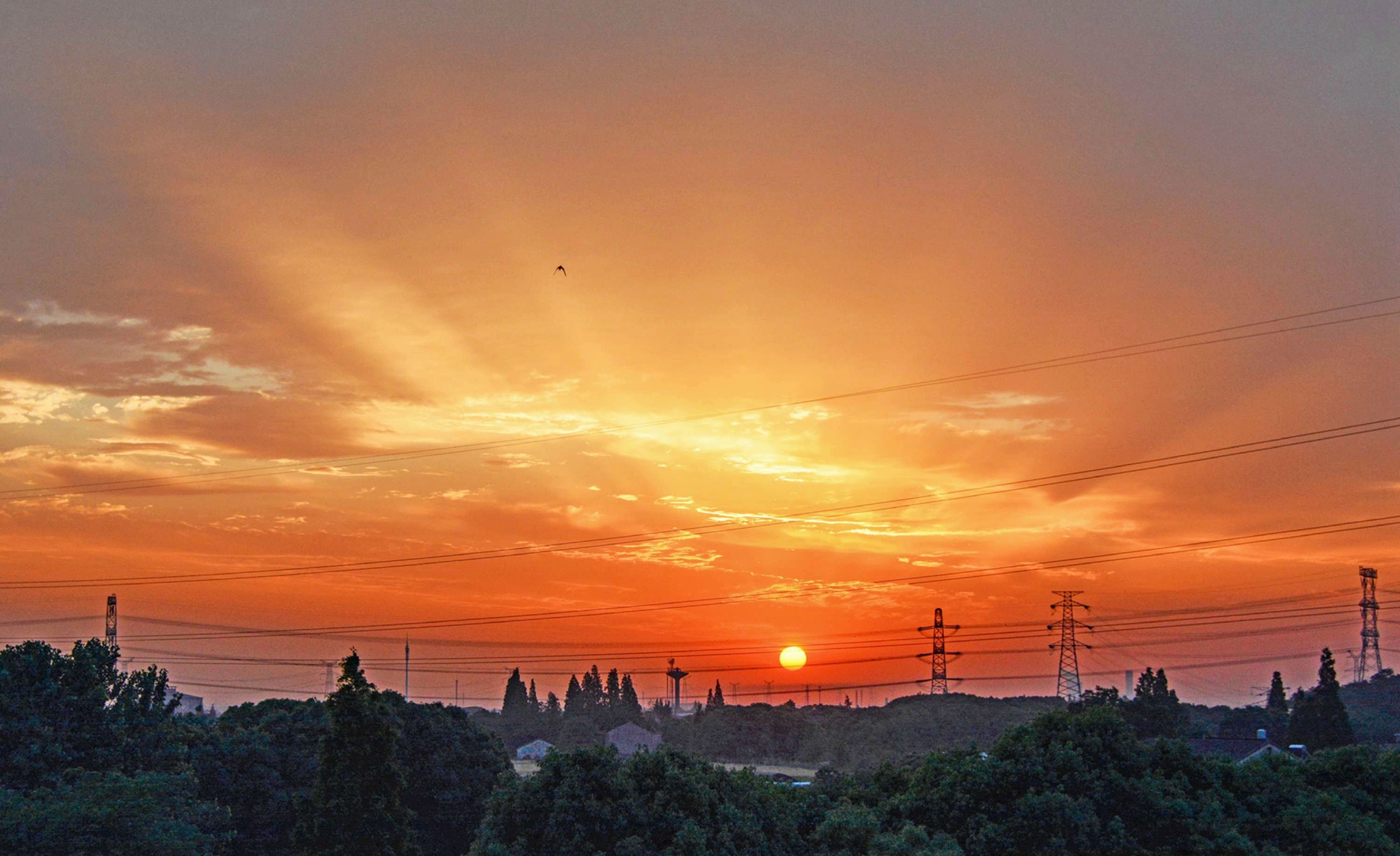 东方红，太阳升。__财经头条