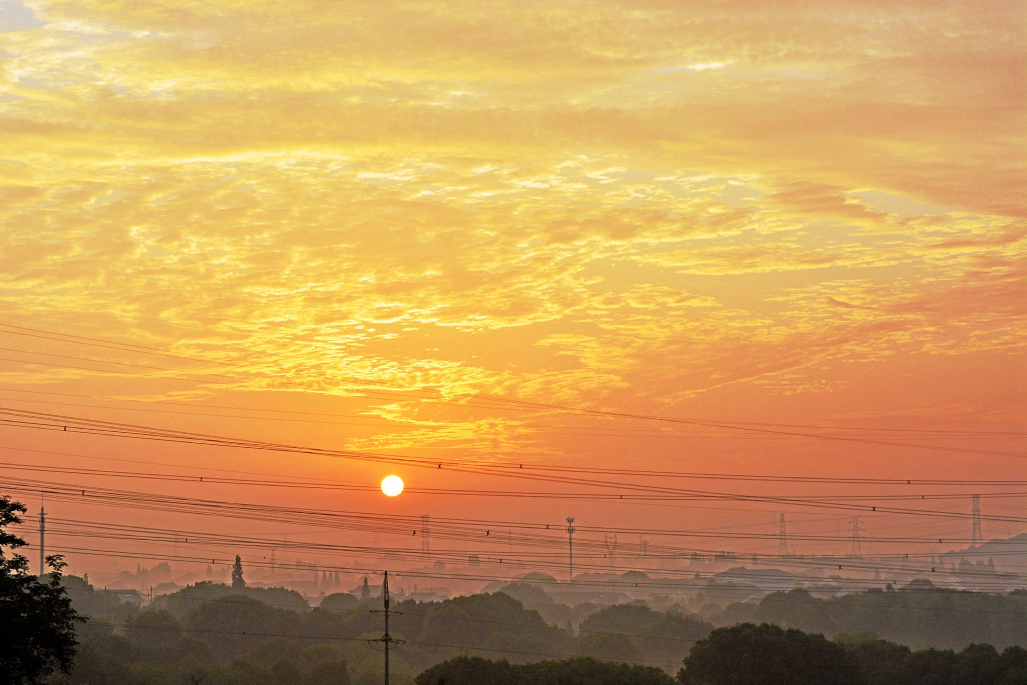 东方红，太阳升。__财经头条