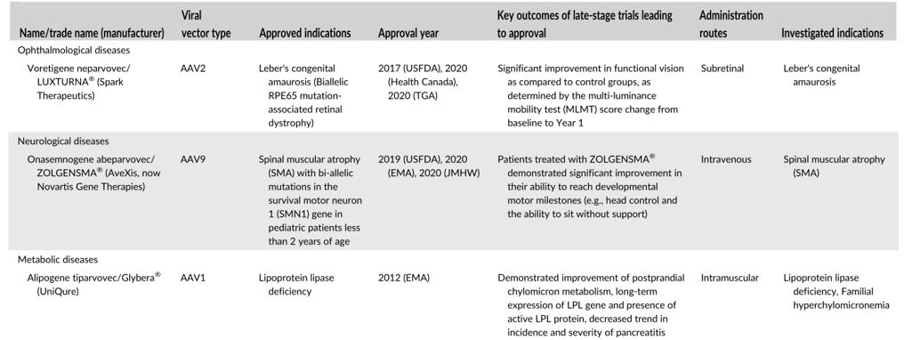 基因治疗的主要病毒载体