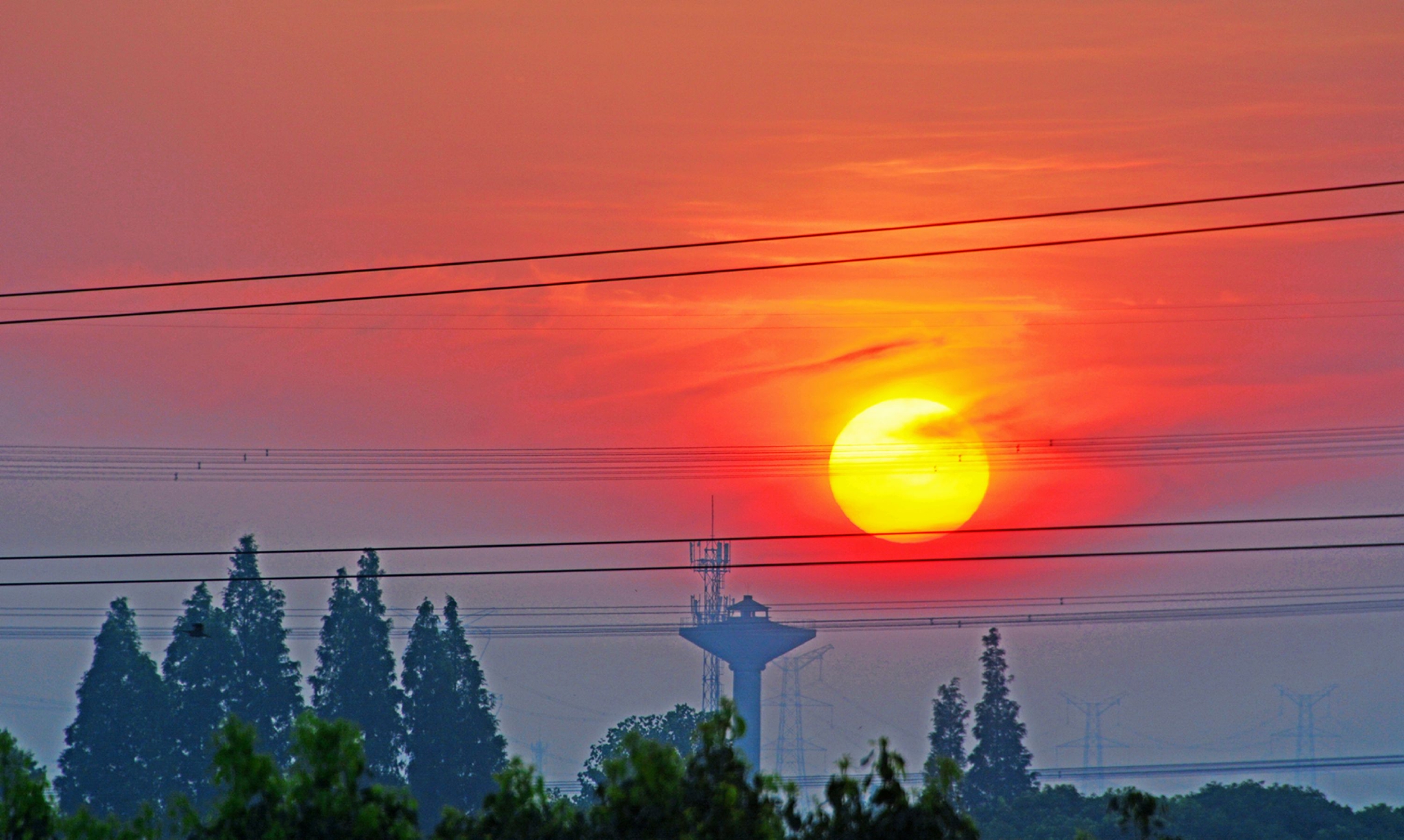 东方红，太阳升。|东方红|太阳升_新浪新闻