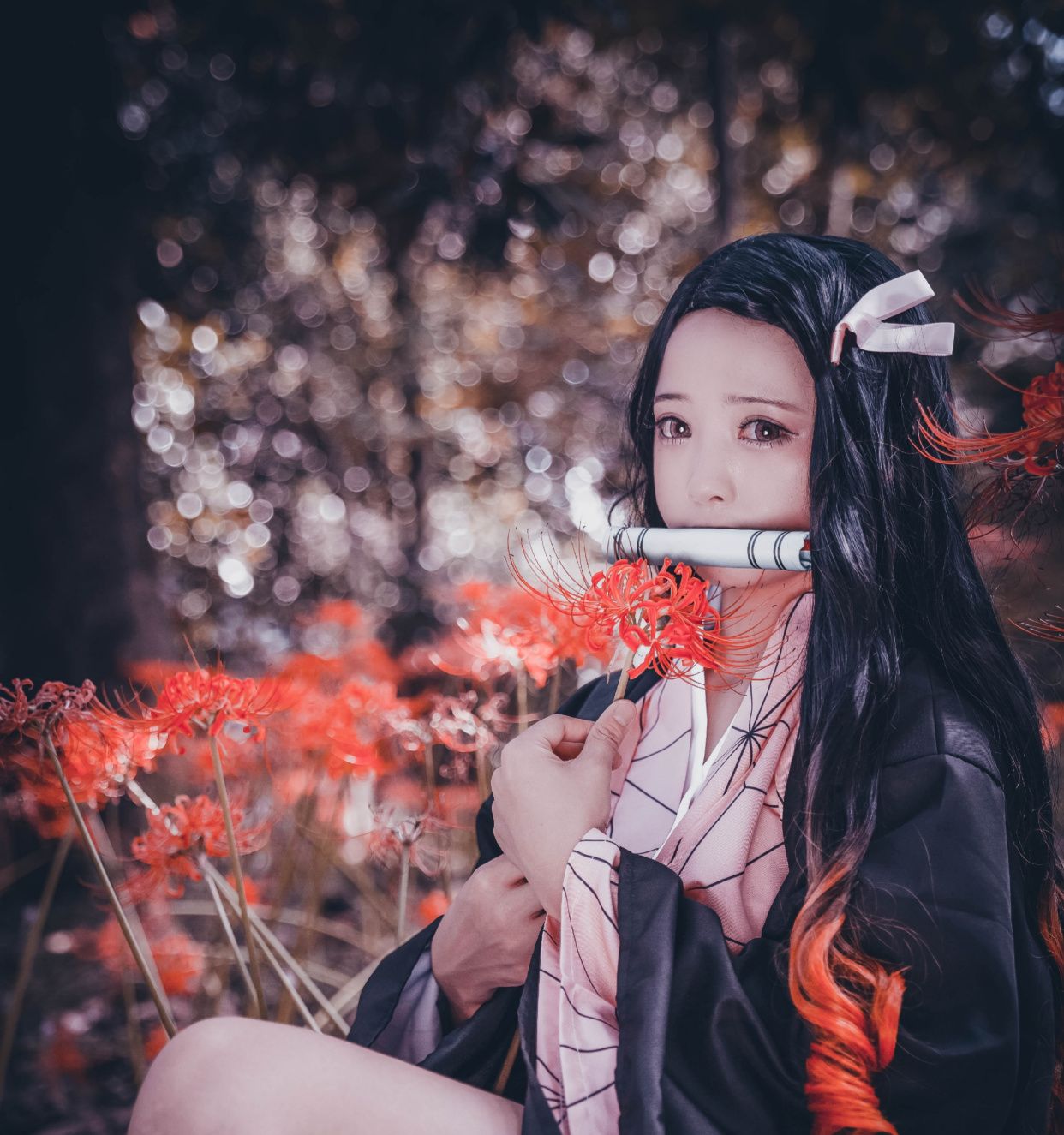 cosplay:跪坐在彼岸花丛间的灶门弥豆子，美得让人心醉