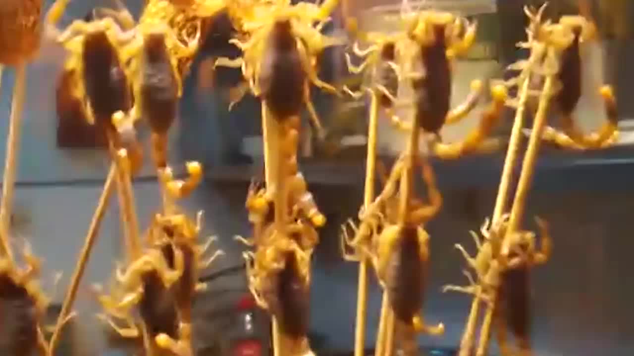 豆丹是什么它有什么秘密凭啥一份卖到1000多_新浪新闻