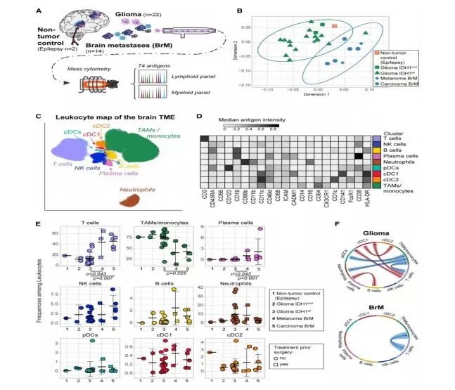 质谱流式单细胞蛋白质组重大突破！人类脑部肿瘤的免疫细胞图谱！|脑瘤|细胞|胶质瘤_新浪新闻