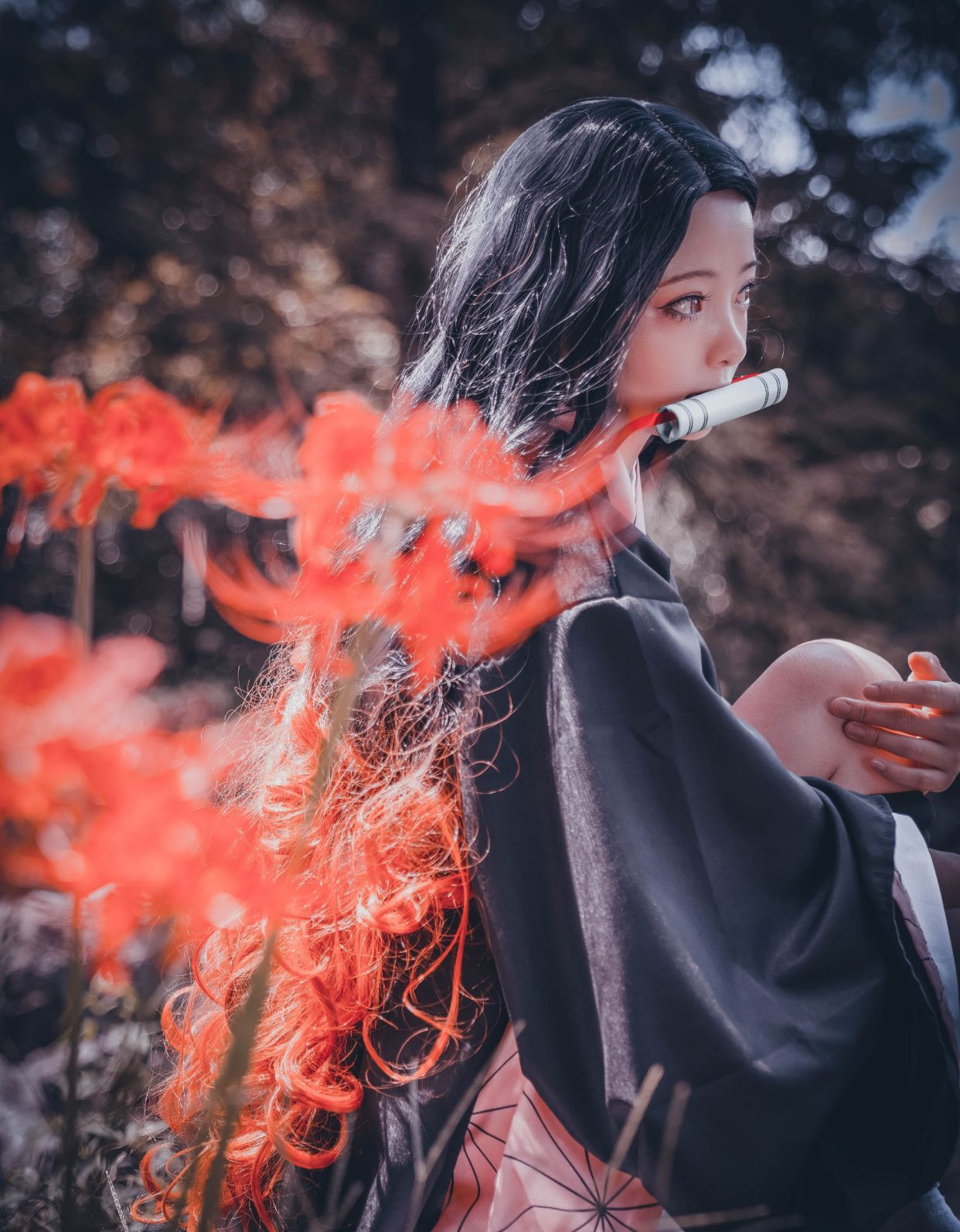 cosplay:跪坐在彼岸花丛间的灶门弥豆子，美得让人心醉