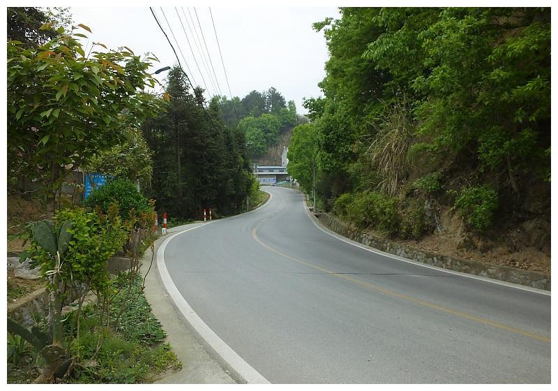 广东江门将对S295省道进行改造工程，设计速度30km/h，双向2车道