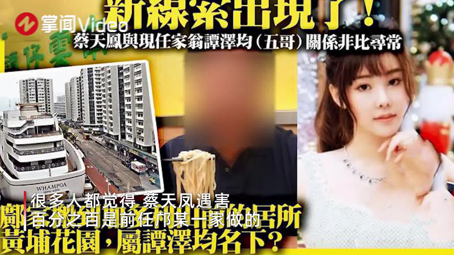 蔡天凤被曝和现任公公关系不一般!女方突然暴富,全靠谭泽均帮忙 新浪新闻