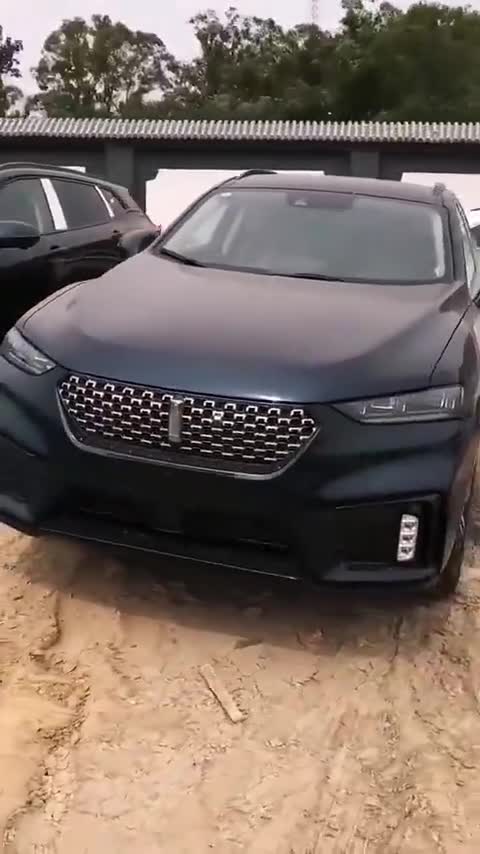 weyvv7图片手机壁纸-千图网