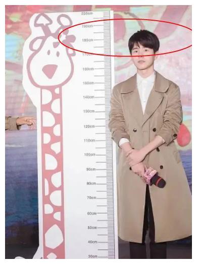 说自己身高180cm以上的男星们，意外同框后，究竟是谁谎报？|身高|李现|陈星旭_新浪新闻