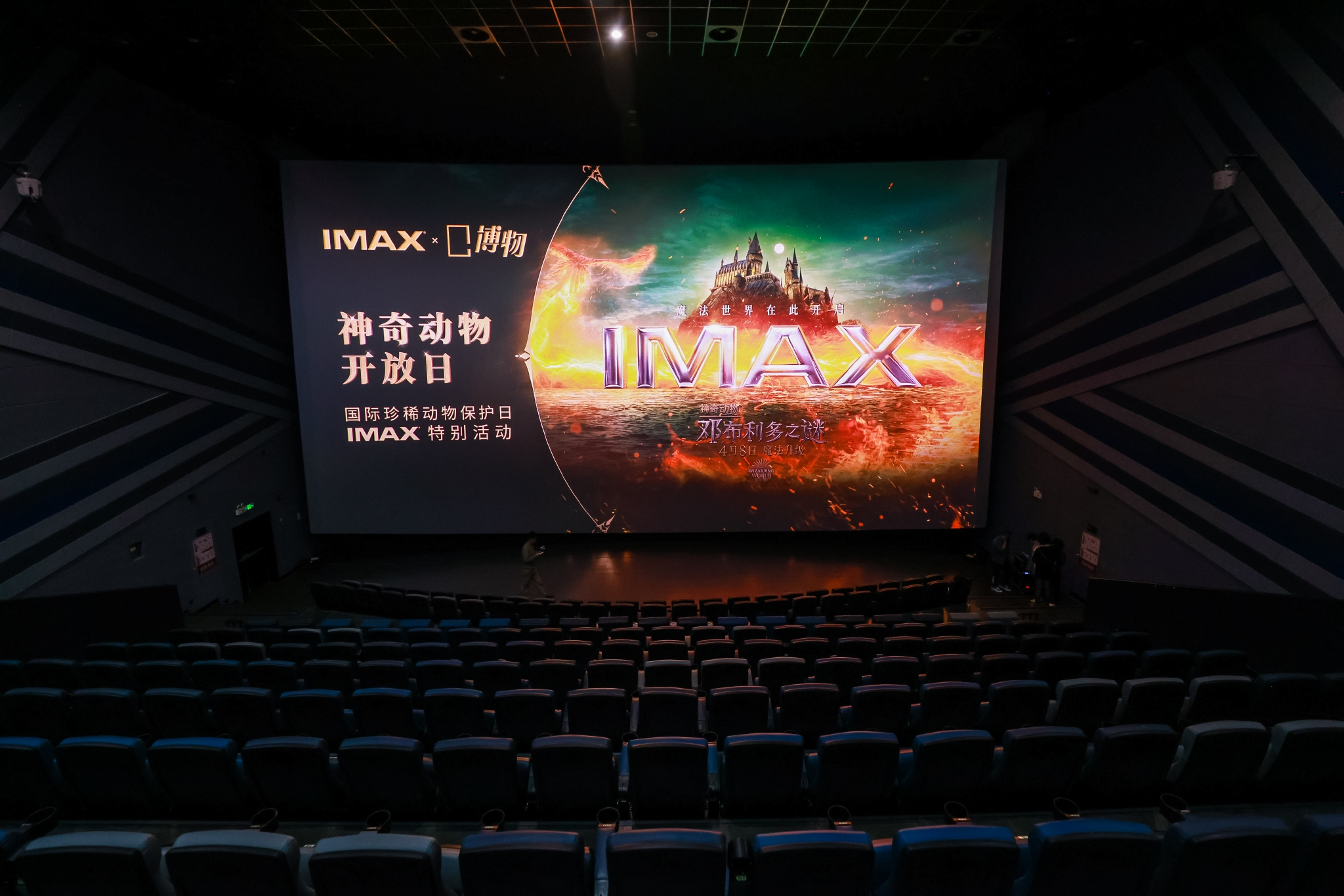 IMAX在京举行“神奇动物开放日”特别观影活动 聚焦珍稀动物保护|IMAX|动物保护|魔法_新浪新闻