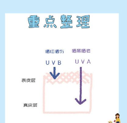 什么是UVA、UVB和UVC？