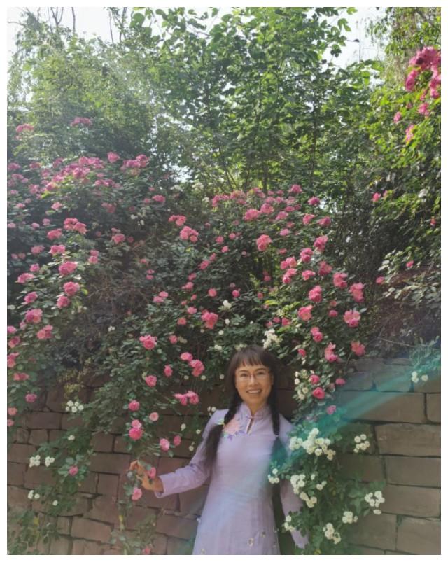西安街头的蔷薇花三__财经头条