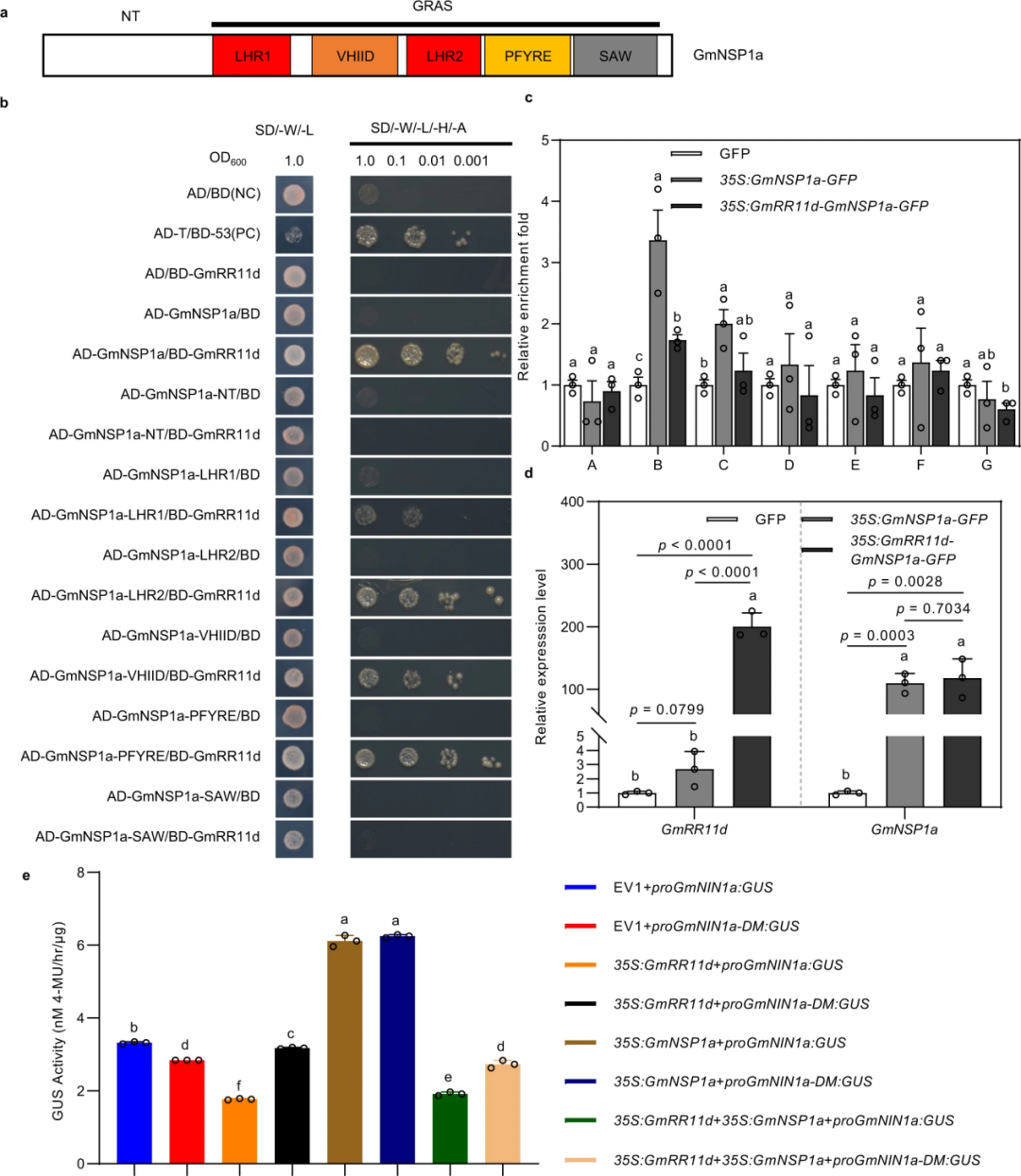 Nat Commun│GmRR11调控大豆结瘤共生的分子机制