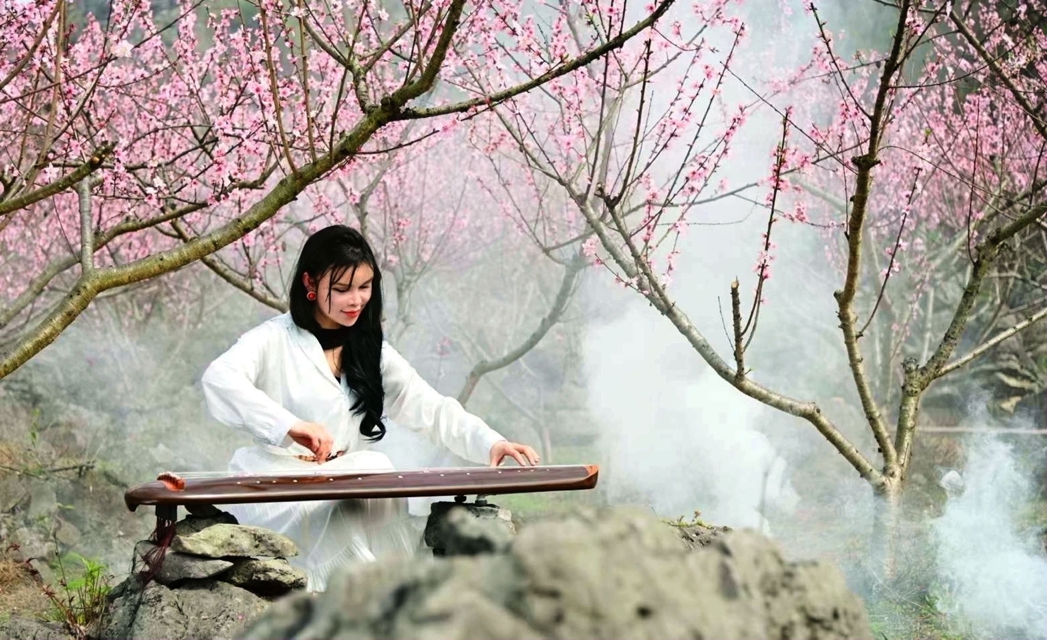 春风十里醉桃花，满园紫嫣映红霞 --三都摄协韦主席播报__财经头条