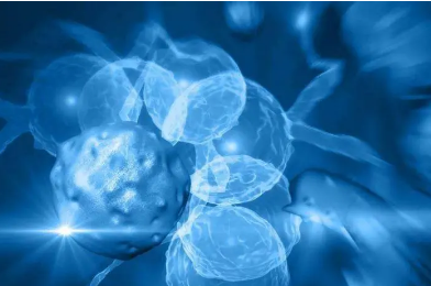 学术解读：nmn是不是保健品，nmn最新研究成果