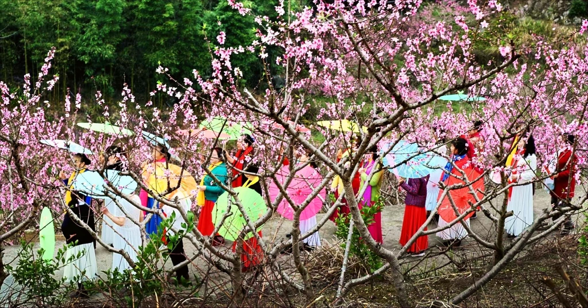 春风十里醉桃花，满园紫嫣映红霞 --三都摄协韦主席播报__财经头条