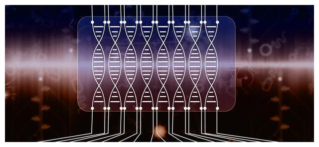 中科院新成就！制造出新型DNA计算机，解决复杂运算问题|二进制|平方根|中科院_新浪新闻