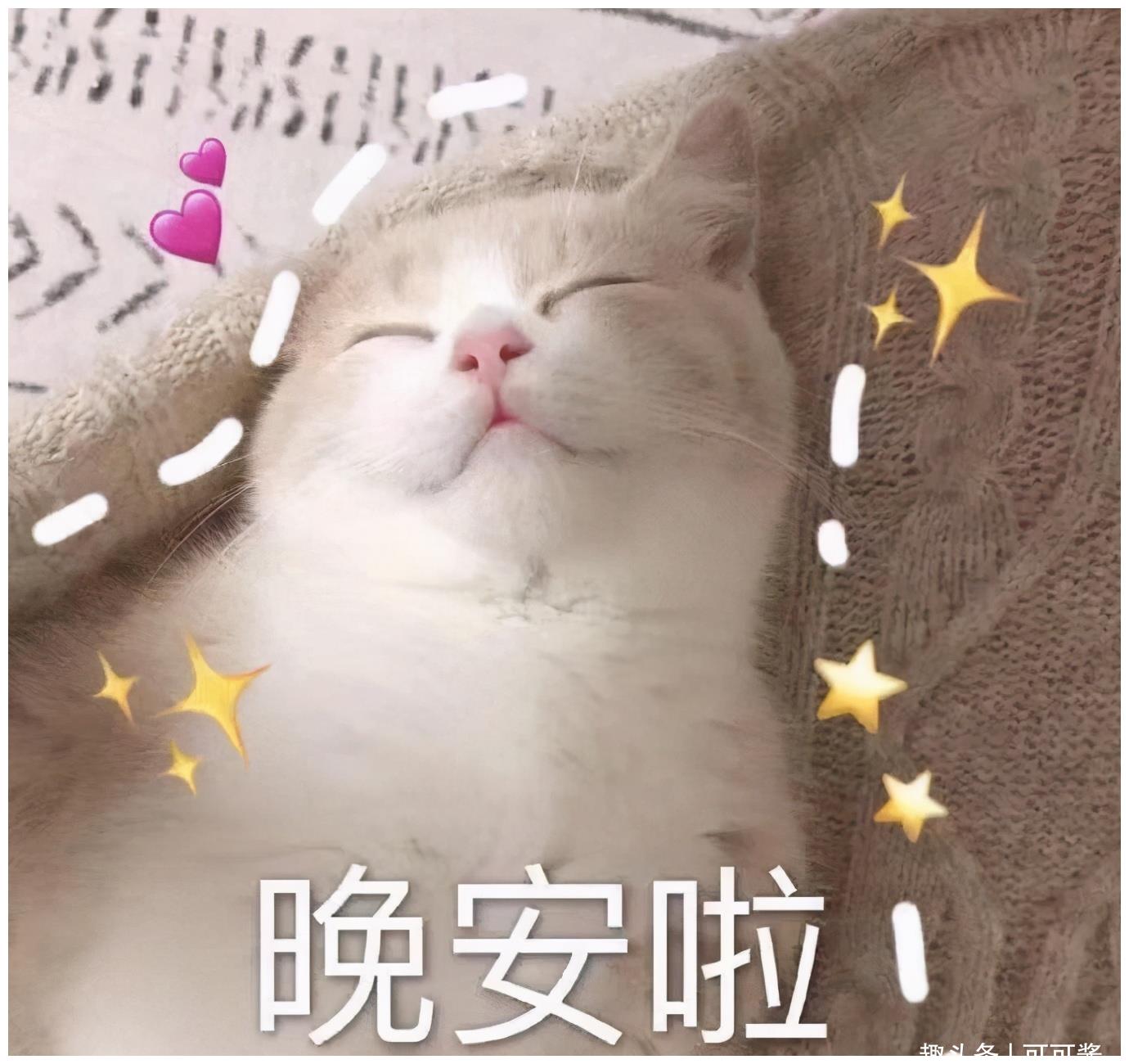 晚安表情包合集|合集|表情包|意念_新浪新闻