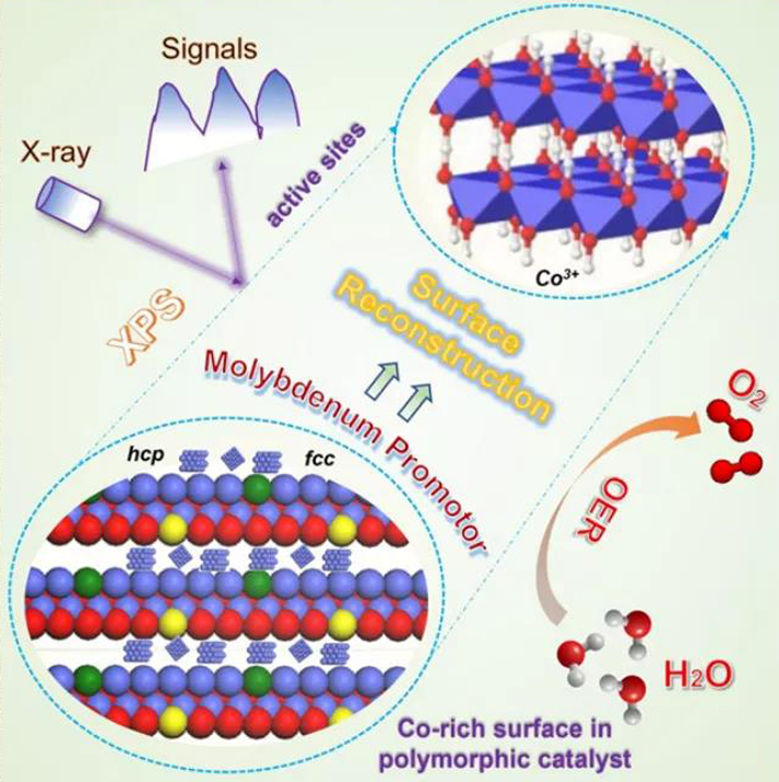 含钼多晶钴催化剂对OER反应的影响__财经头条