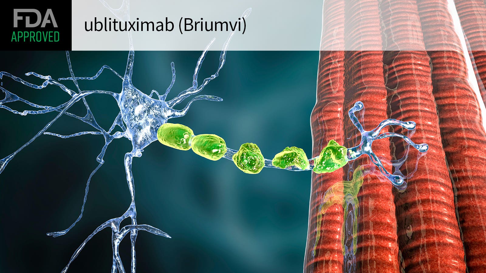 年复发率低于0.1！复发型多发性硬化症新药Briumvi在美获批|硬化症|多发性|复发率_新浪新闻