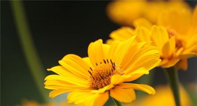 说话会不着边际的三大星座，会让自己想爱的人对未来疑虑