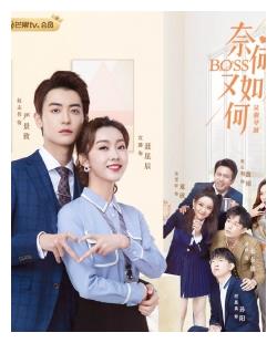 偶像剧奈何Boss系列你看过几部？